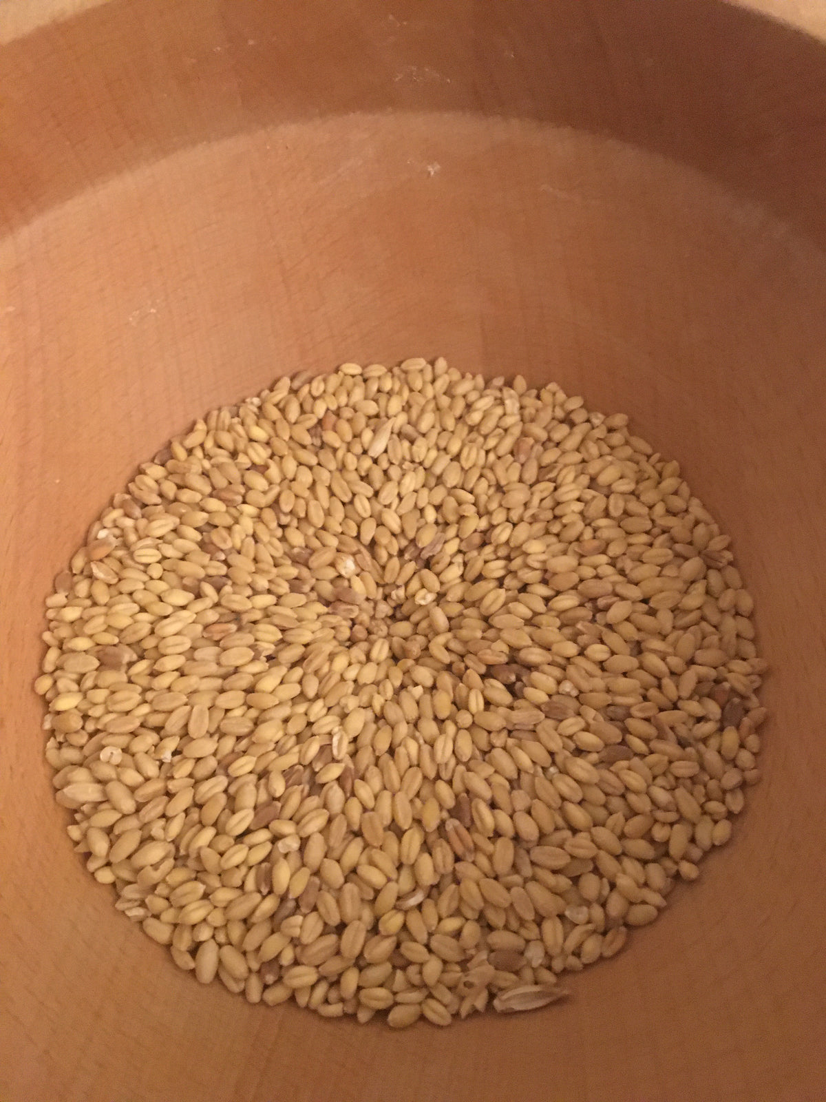 Heirloom Sonora Wheat Flour 2# - Elmendorf Baking Supplies